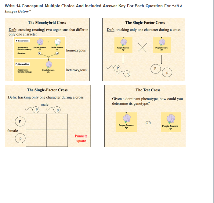 Solved Note: Write 14 Conceptual Multiple Choice And | Chegg.com