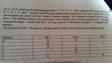 An E coli F-strain has the followin genotype: s URTE | Chegg.com
