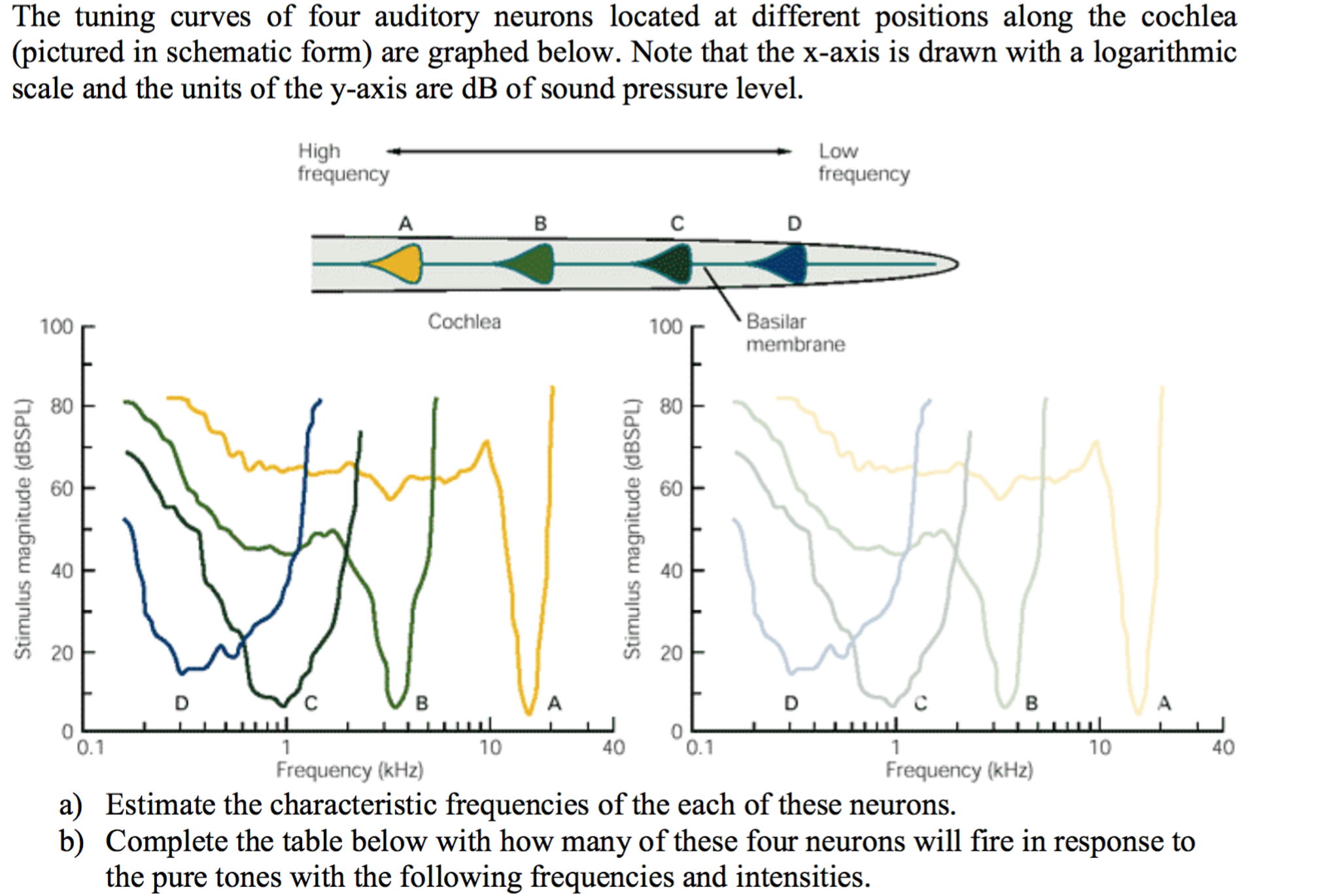Solved The tuning curves of four auditory neurons located at | Chegg.com