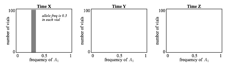 In fruit flies, the A locus controls body color, with | Chegg.com