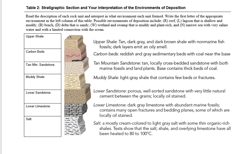 Solved Table 2: Stratigraphic Section and Your | Chegg.com