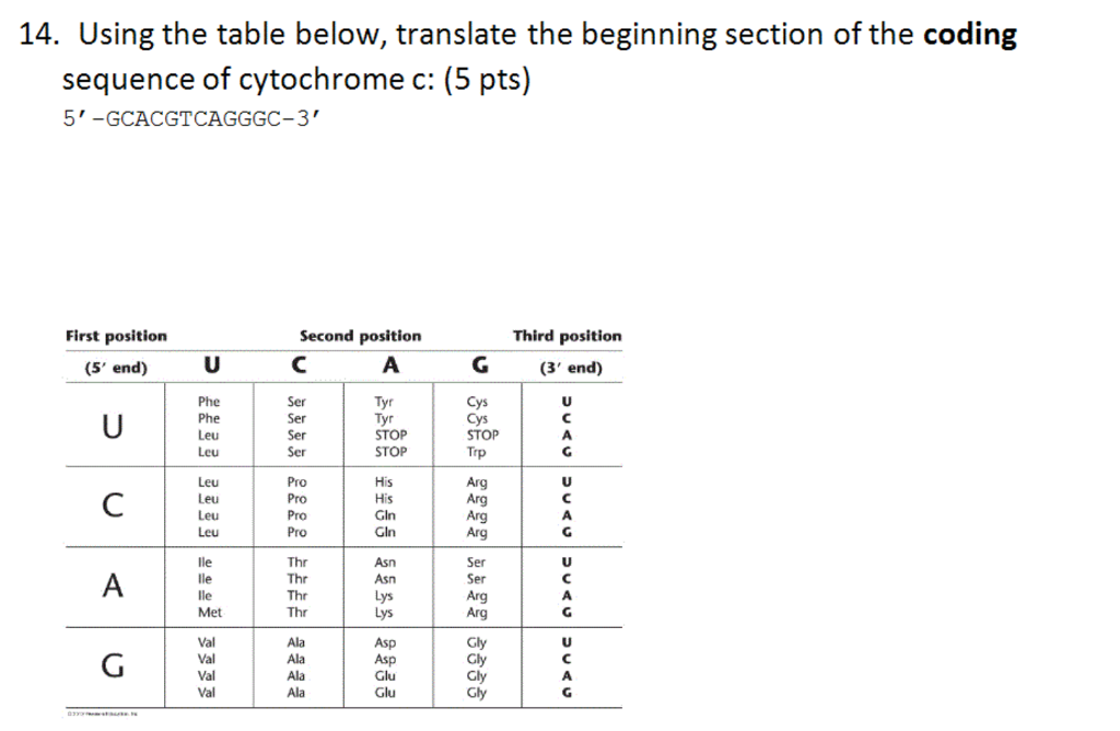 Solved Using the table below, translate the beginning | Chegg.com