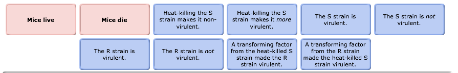 Solved The virulent form of the bacteria S. pneumoniae is | Chegg.com