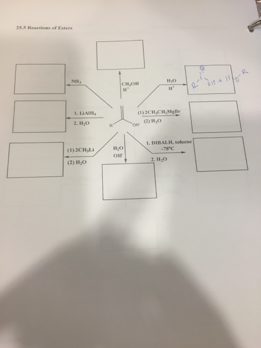 Solved Reactions of Esters | Chegg.com