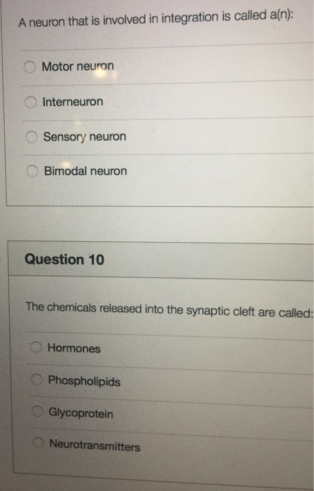 Solved A neuron that is involved in integration is called | Chegg.com