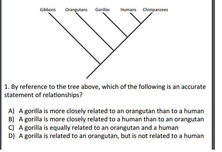 Solved By reference to the tree above, which of the | Chegg.com