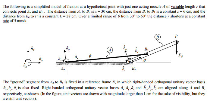 The following is a simplified model of flexion at a | Chegg.com