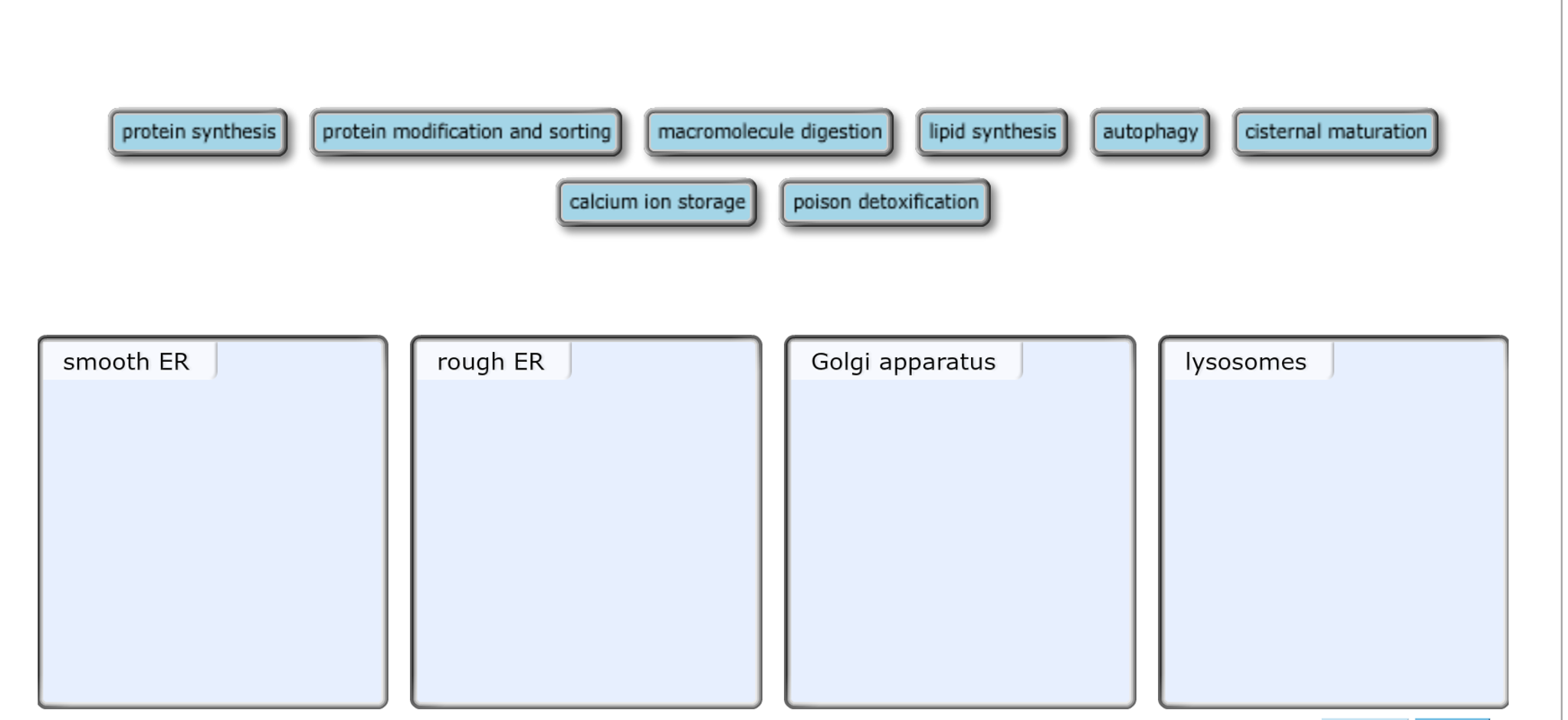 Solved protein synthesisprotein modification and sorting | Chegg.com
