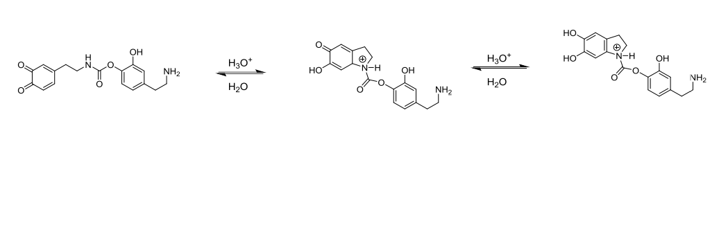 Solved HO OH H3O N-H OH HO O. H30+ NH2 HO N-H OH NH2 H2O H2O | Chegg.com