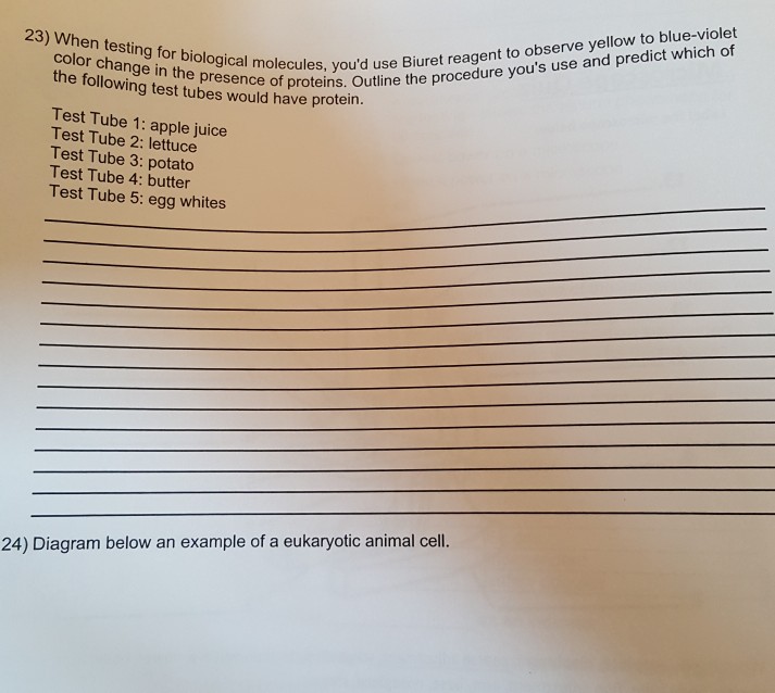 Solved 1) 2) 3) 4) 5) 6) 7) Independent Variable Dependent | Chegg.com