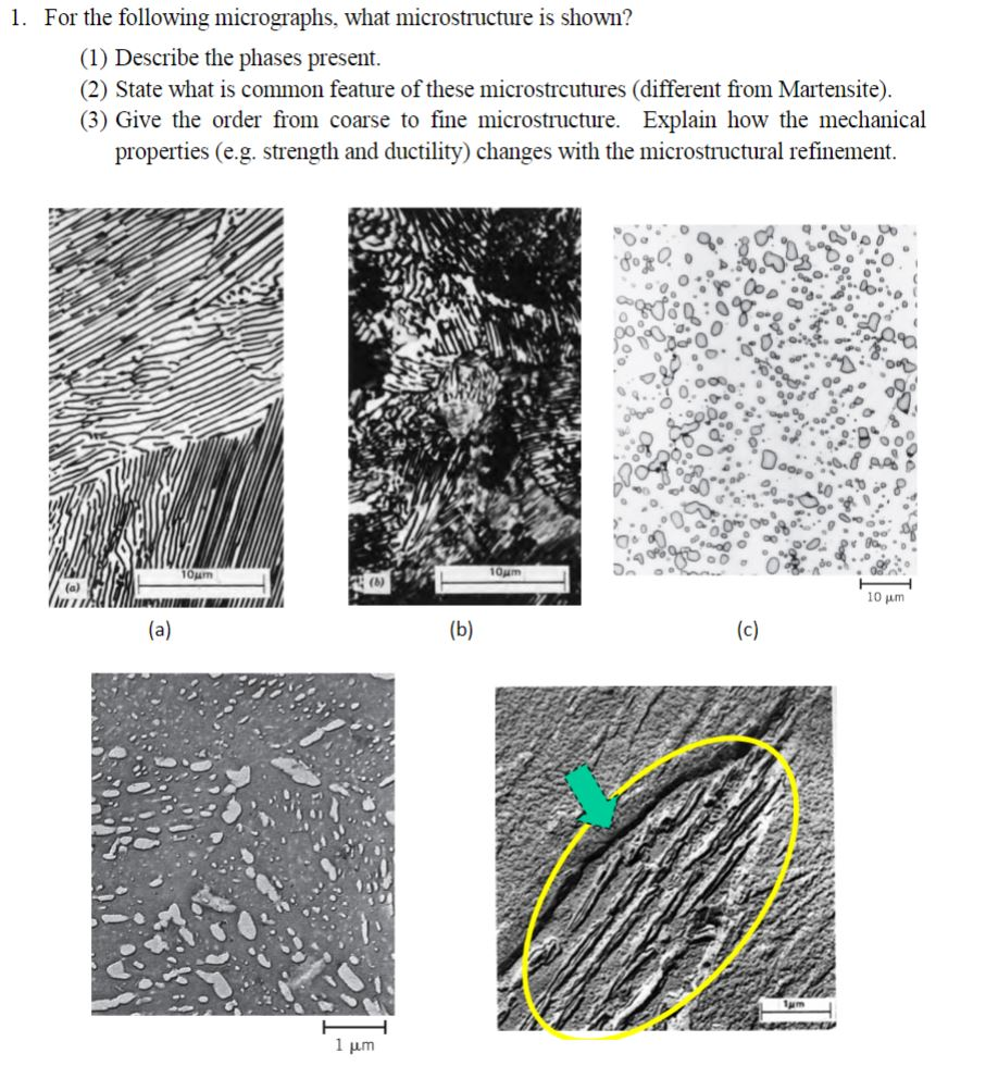 Solved 1. For the following micrographs, what microstructure | Chegg.com