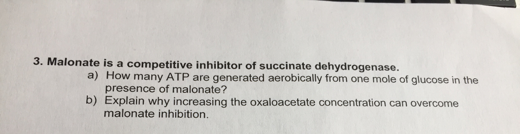 Solved Malonate is a competitive inhibitor of succinate | Chegg.com