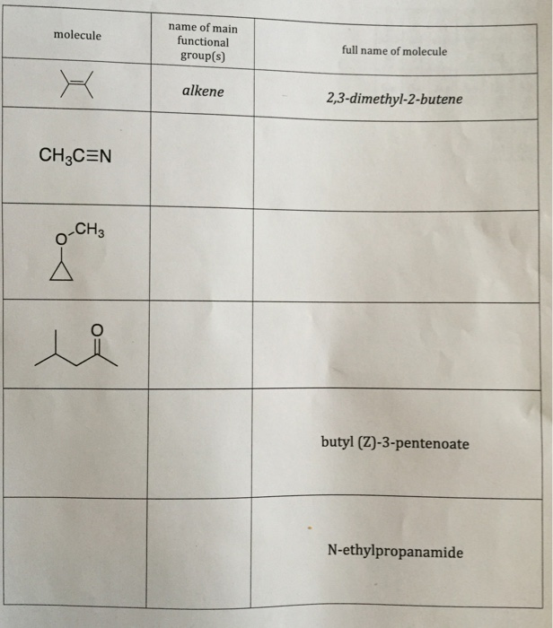 Solved name of main functional group(s) molecule full name | Chegg.com