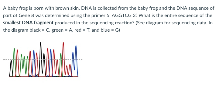 Solved A baby frog is born with brown skin. DNA is collected | Chegg.com