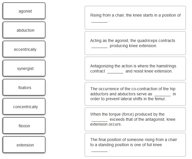 Solved Drag the labels to the appropriate position in order | Chegg.com