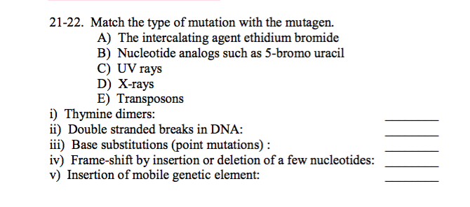 Solved Match the type of mutation with the mutagen. A) The | Chegg.com