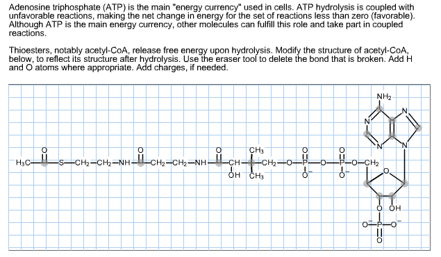 Solved Adenosine triphosphate (ATP) is the main "energy | Chegg.com