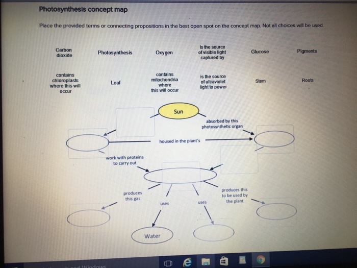 Solved Photosynthesis concept map Place the provided terms | Chegg.com