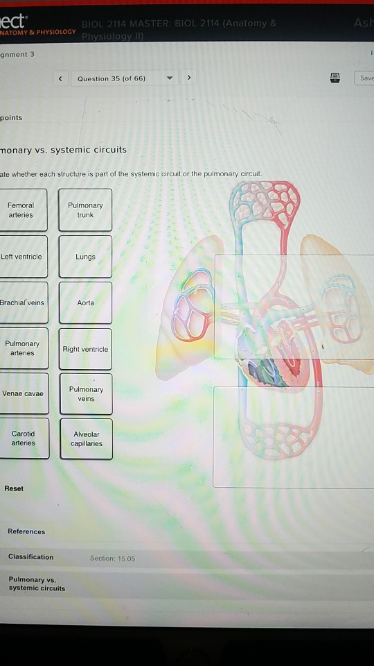 Solved Indicate whether each structure is part of the | Chegg.com Solved Indicate whether each structure is part of the | Chegg.com