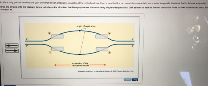 Solved In this activity, you will demonstrate your | Chegg.com
