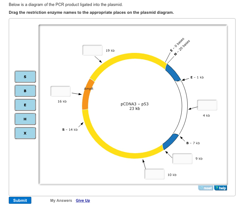 Biology Archive | April 18, 2017 | Chegg.com