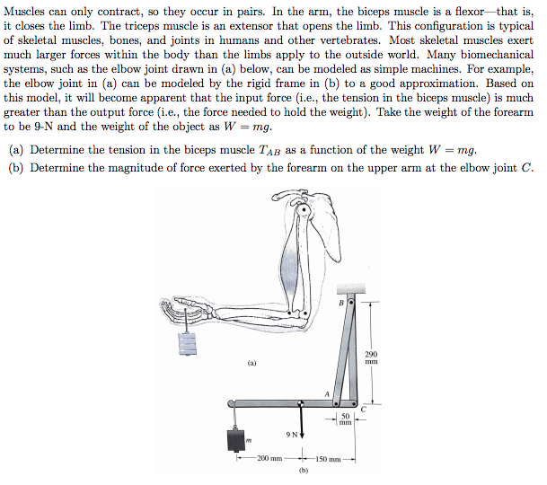 Anatomy And Physiology Archive | November 14, 2017 | Chegg.com