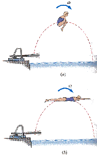 Solved A 61 kg diver is spinning forward in a tuck position | Chegg.com