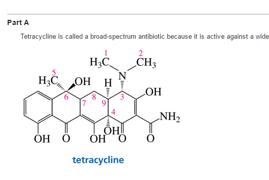Solved Tetracycline is called a broad-spectrum antibiotic | Chegg.com