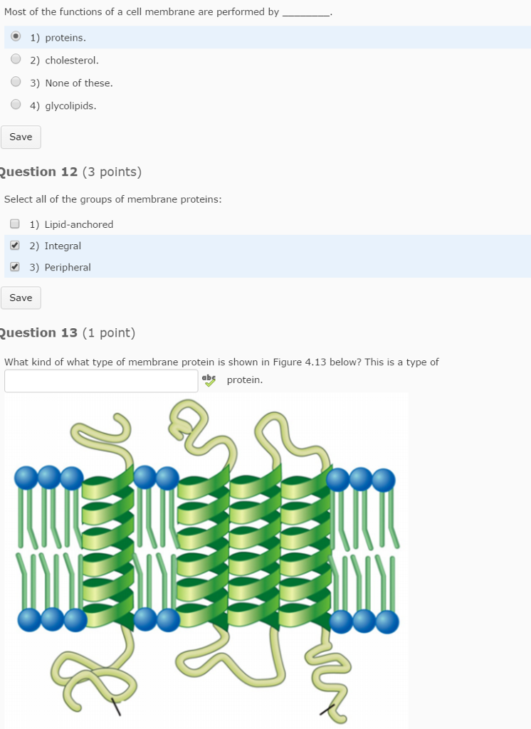 Solved Most of the functions of a cell membrane are | Chegg.com