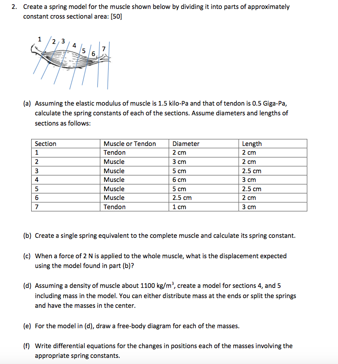 Solved 2. Create a spring model for the muscle shown below | Chegg.com