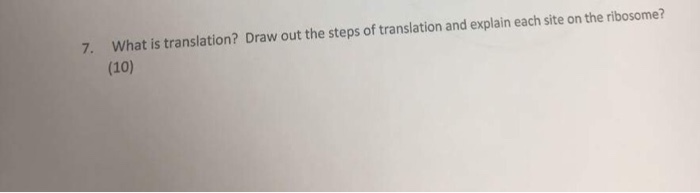 Solved What is translation? steps of translation and explain | Chegg.com