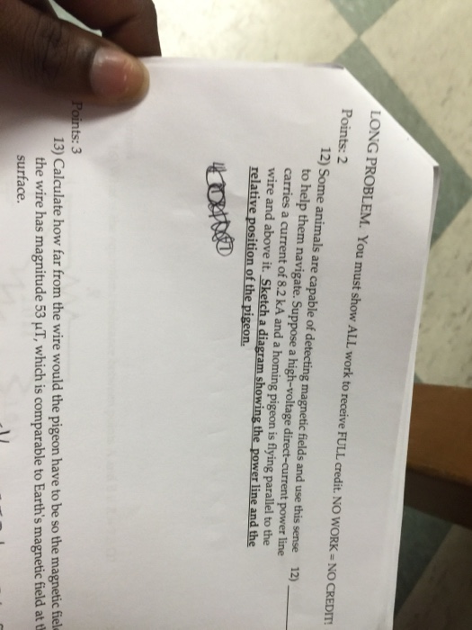 Solved Some animals are capable of detecting magnetic fields | Chegg.com