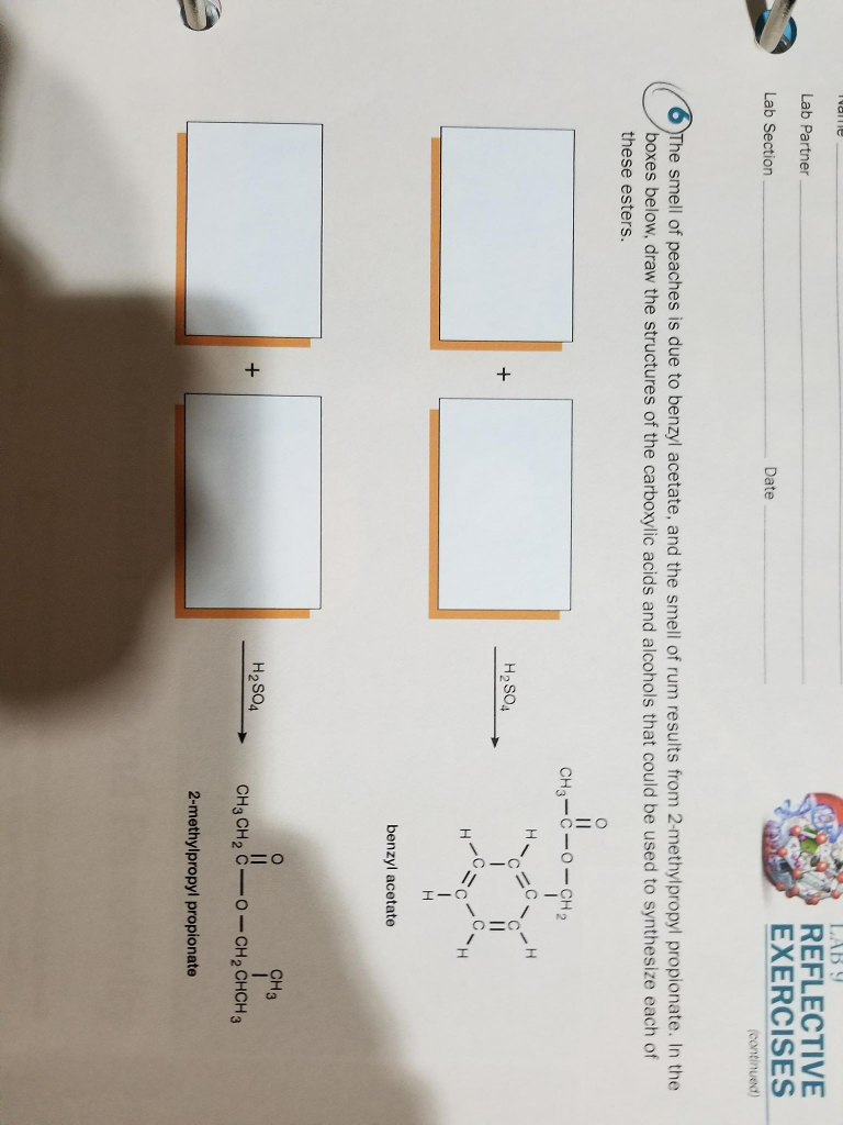 Solved REFLECTIVE EXERCISES Lab Partner Date Lab Section e | Chegg.com