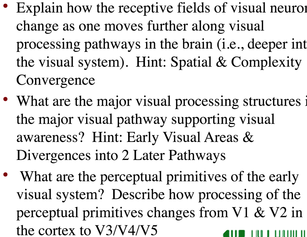 Solved · Explain how the receptive fields of visual neuro | Chegg.com