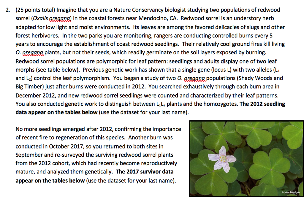 Solved 2. (25 points total) Imagine that you are a Nature | Chegg.com Solved 2. (25 points total) Imagine that you are a Nature | Chegg.com
