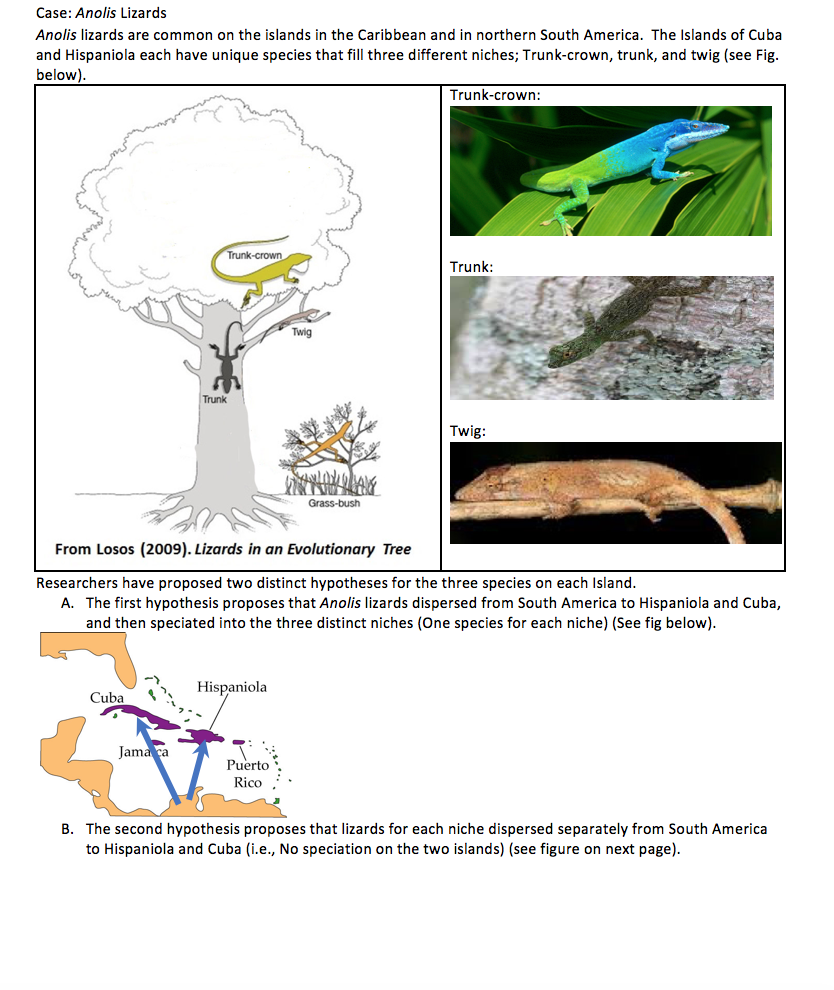 Solved Case: Anolis Lizards Anolis lizards are common on the | Chegg.com
