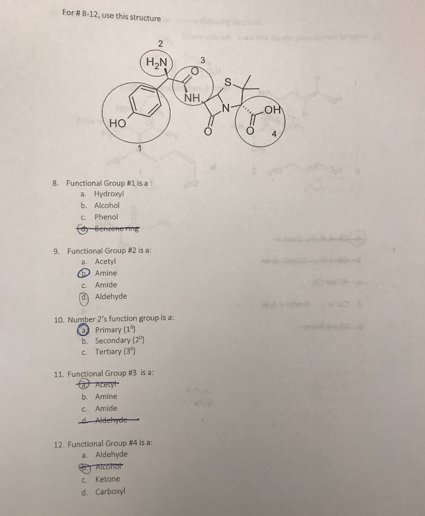 Solved use this structure Functional Group #1 is a: | Chegg.com