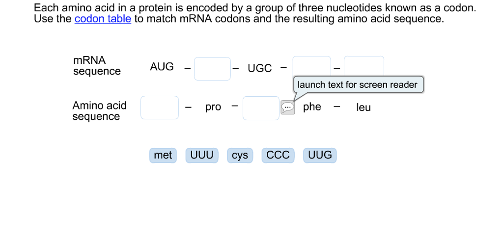 Solved Each amino acid in a protein is encoded by a group of | Chegg.com