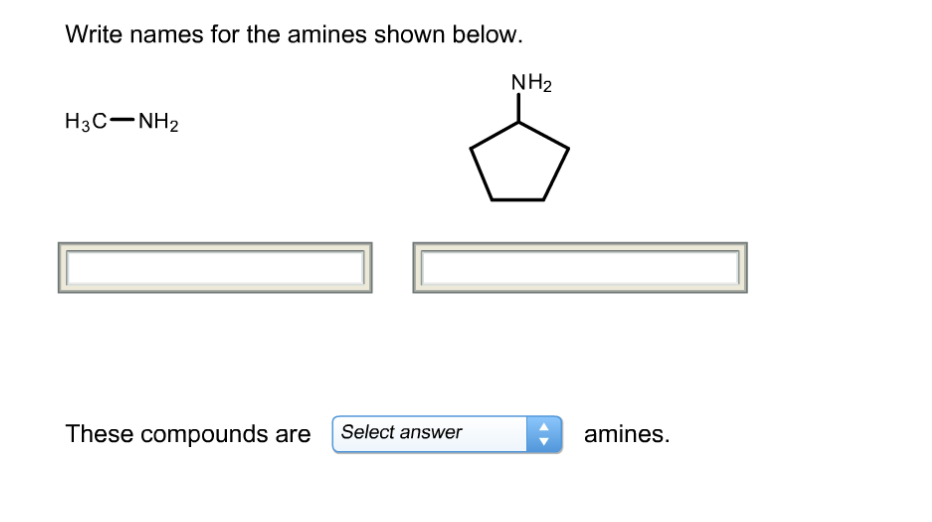 Solved Write names for the amines shown below NH2 H3C-NH2 | Chegg.com Solved Write names for the amines shown below NH2 H3C-NH2 | Chegg.com