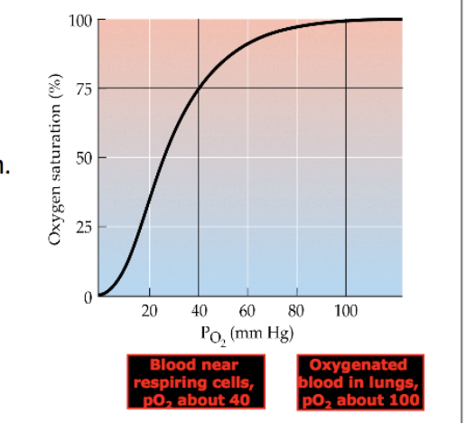 Solved Which of these conditions, by itself, causes | Chegg.com