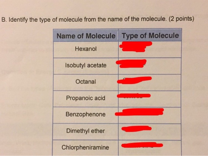 Solved Identify the type of molecule from the name of the | Chegg.com