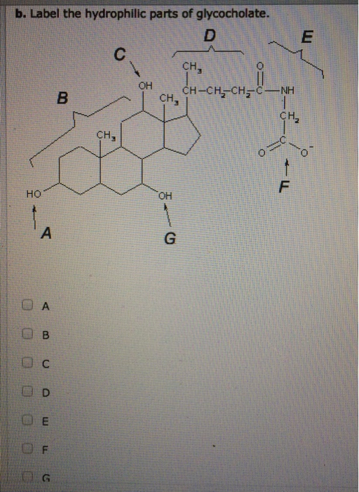 Solved a. Label the hydrophobic parts of glycocholate. CH OH | Chegg.com