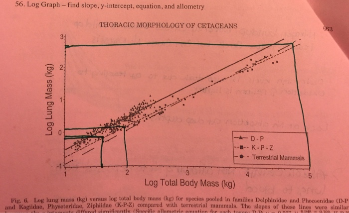 56. Log Graph-find slope, y-intercept, equation, and | Chegg.com
