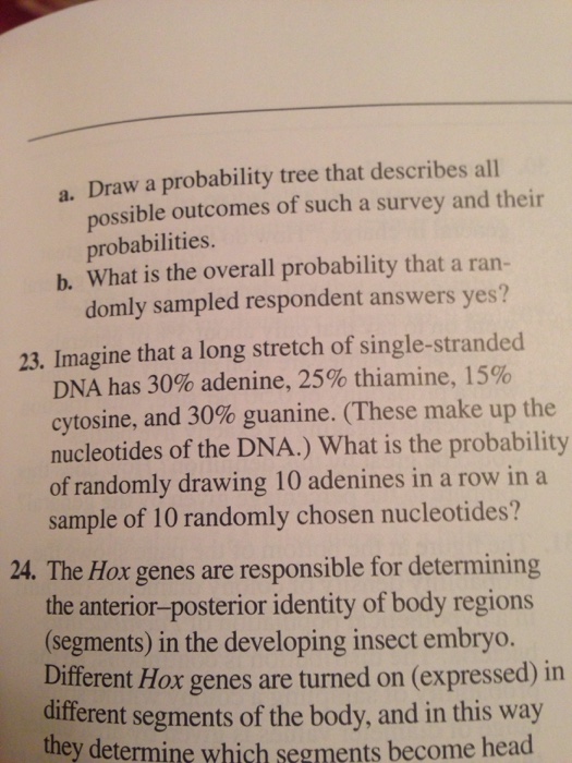 Solved Imagine that a long stretch of single-stranded DNA | Chegg.com