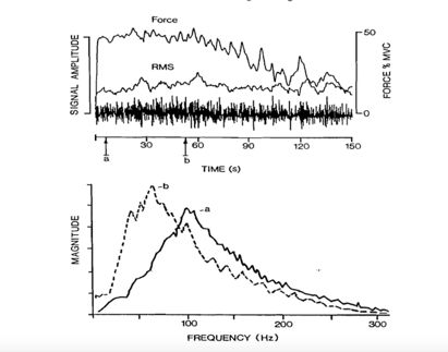 Muscle Fatigue Graph