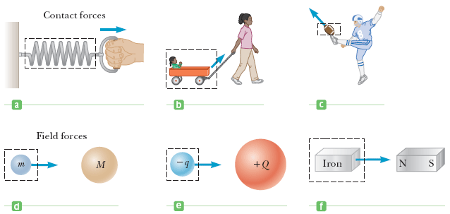 Solved (a) the spring exerts a force (b) the wagon exerts a | Chegg.com
