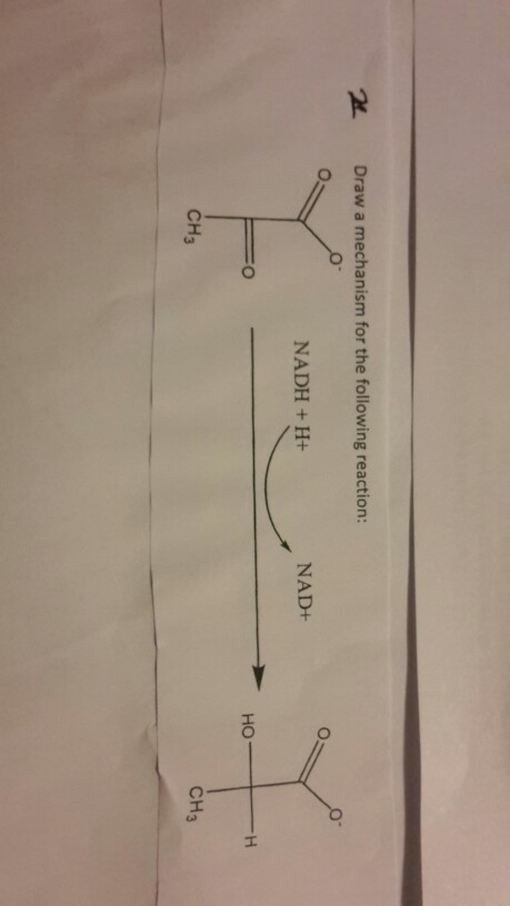 Solved Draw a mechanism for the following reaction: | Chegg.com