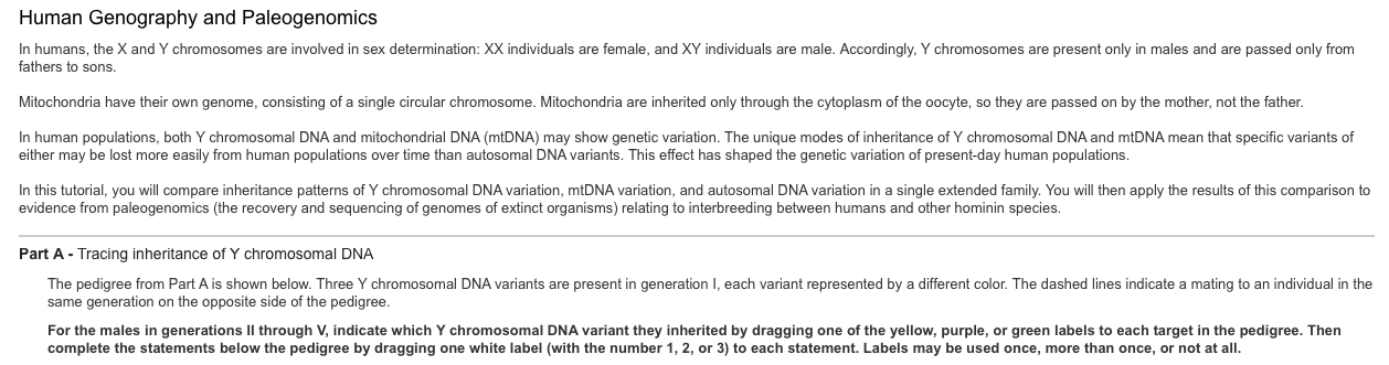 Solved Human Genography and Paleogenomics In humans, the X | Chegg.com