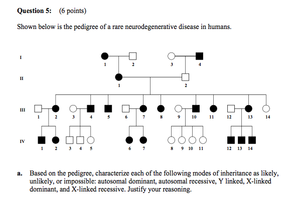 Solved Further scrutiny of members of this family reveals | Chegg.com