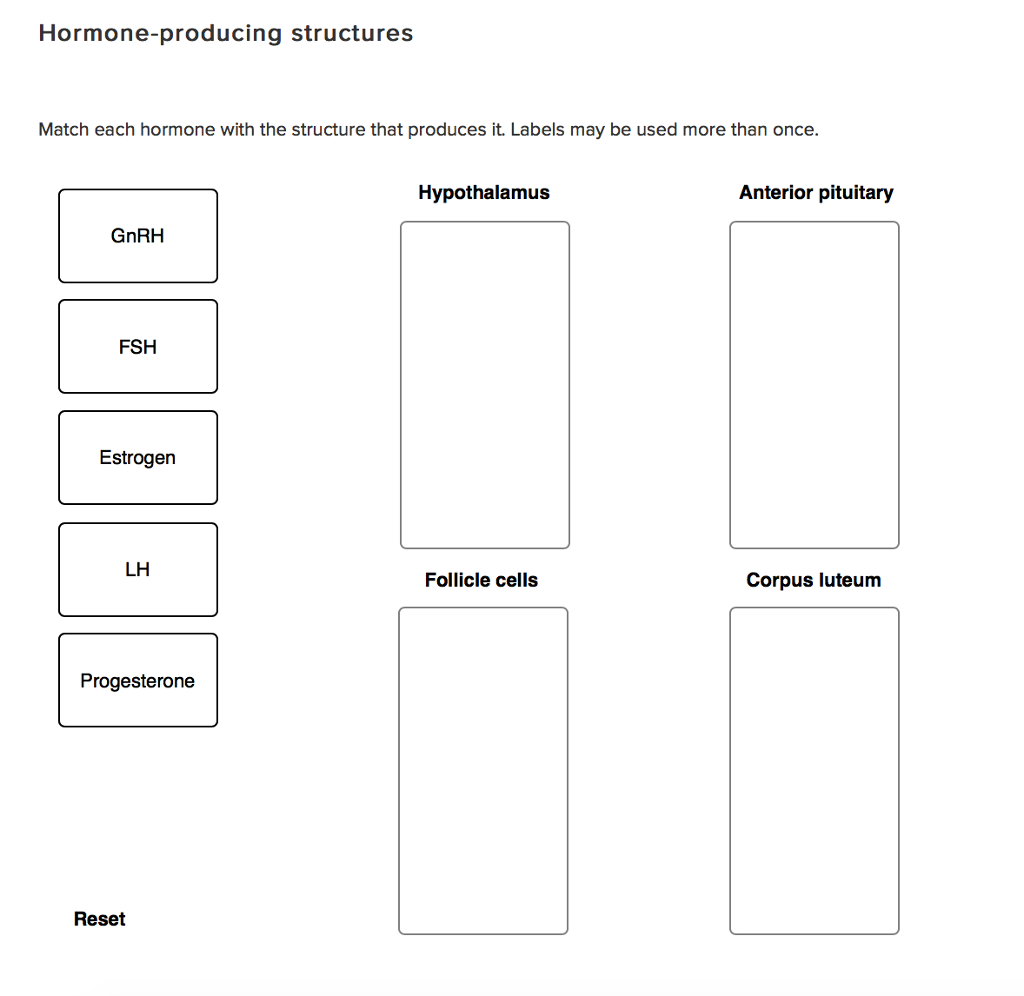 Solved Match each hormone with the structure that produces | Chegg.com